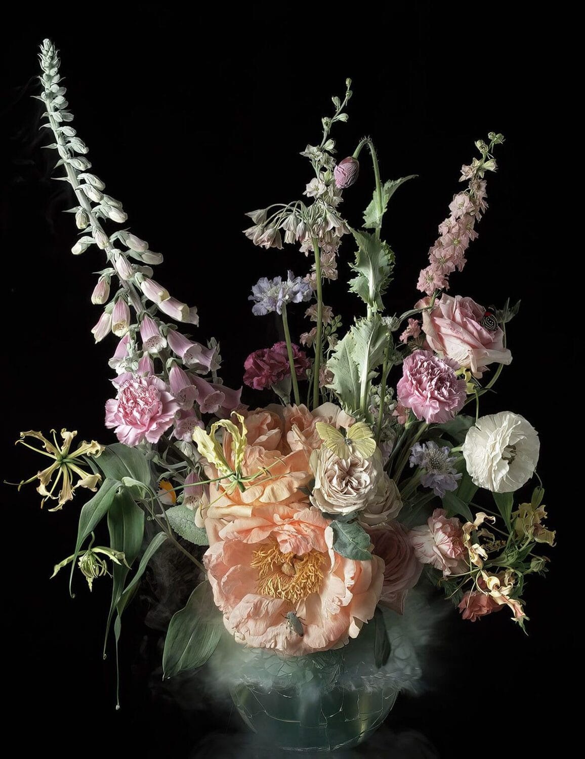 Ori Gersht: Fields and Visions - Talley Dunn Gallery