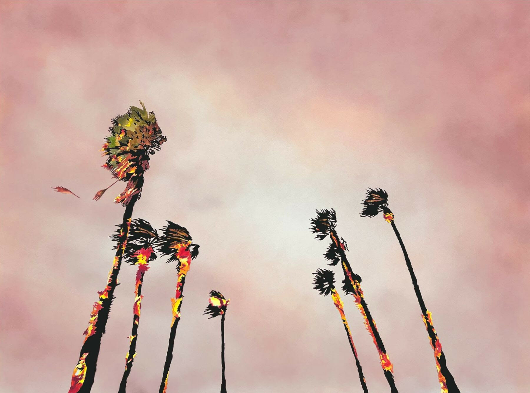 Francesca Gabbiani: Mutations. Wilding Cran Gallery