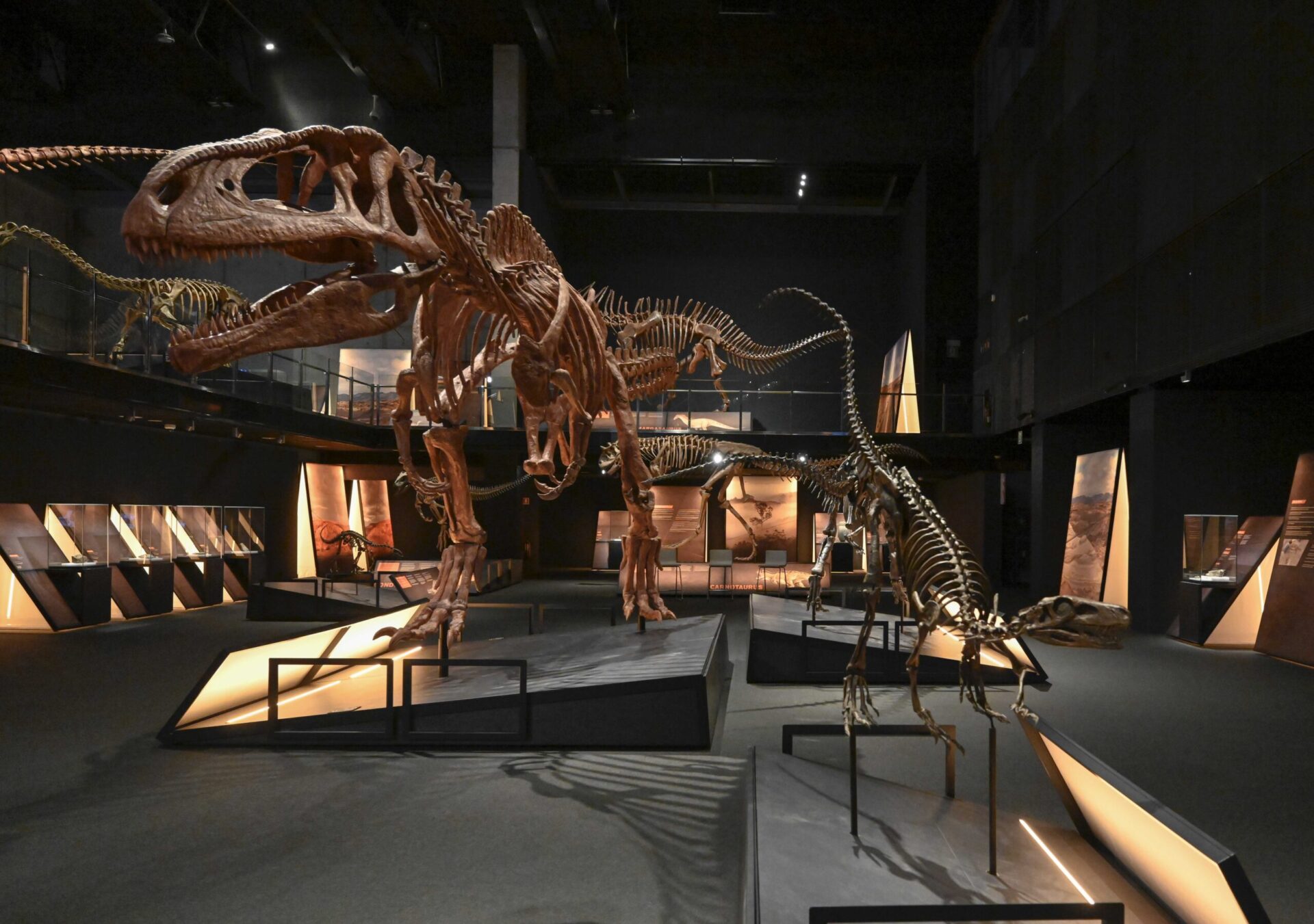 Dinosaurs from Patagonia | Exhibition at CosmoCaixa Science Museum ...