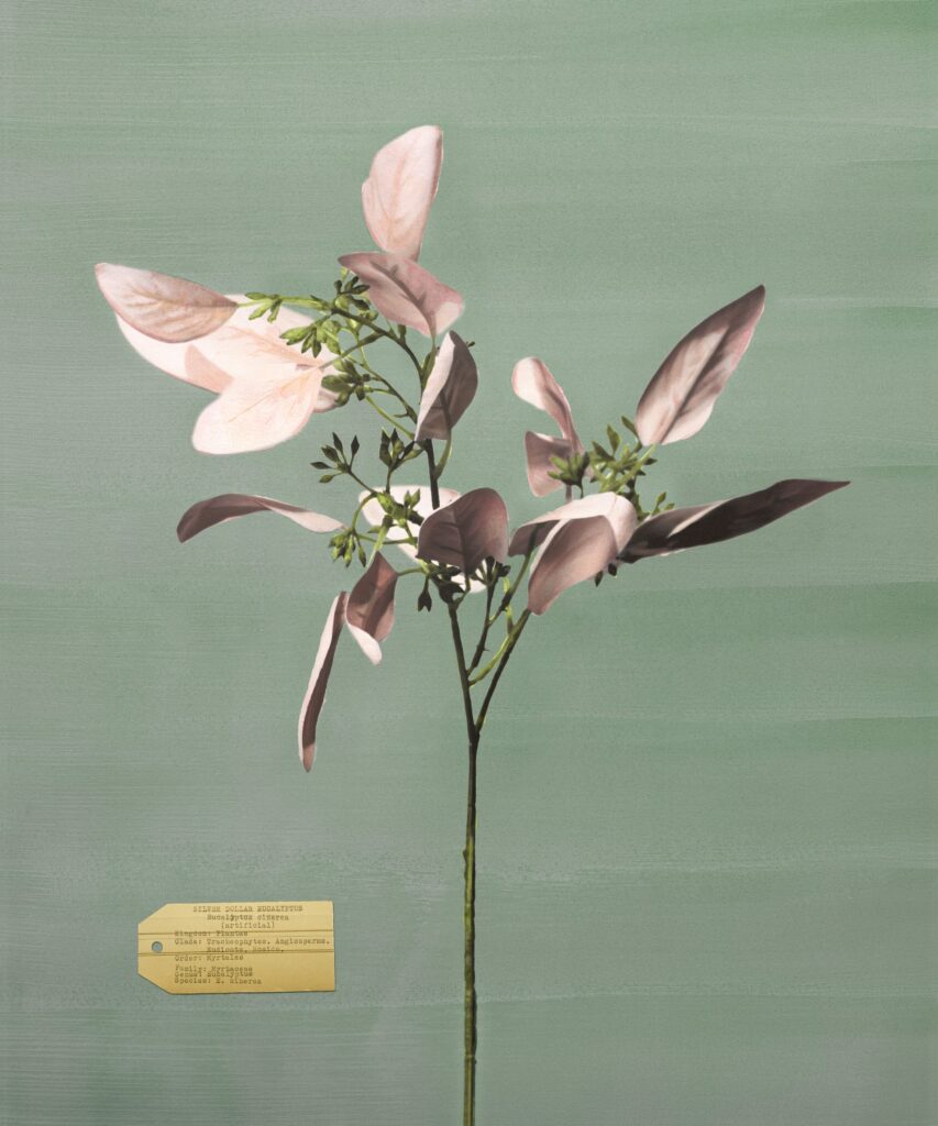 Flora Industrialis, el nuevo trabajo de Vik Muniz | MUN Museo Universidad de Navarra, Pamplona